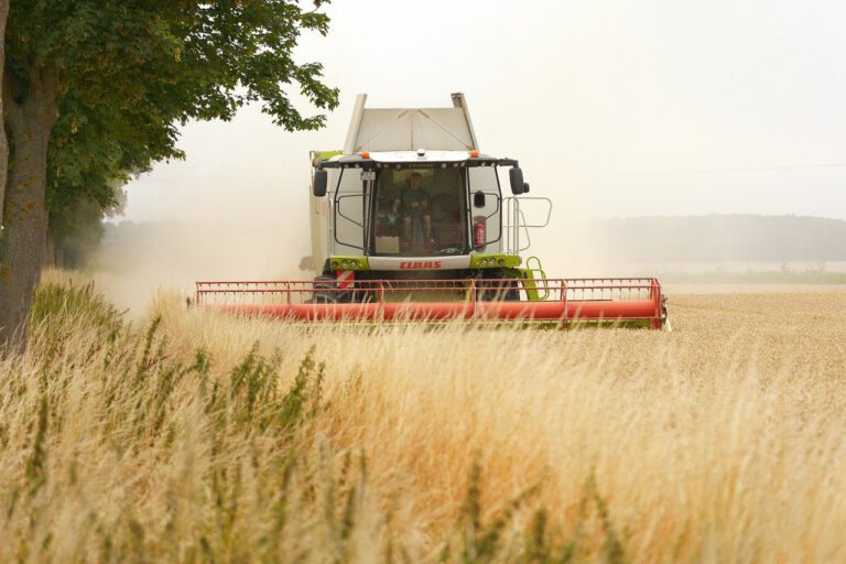 Averting Grain Dust Catastrophes: Tech-Driven Lessons from Didion ...