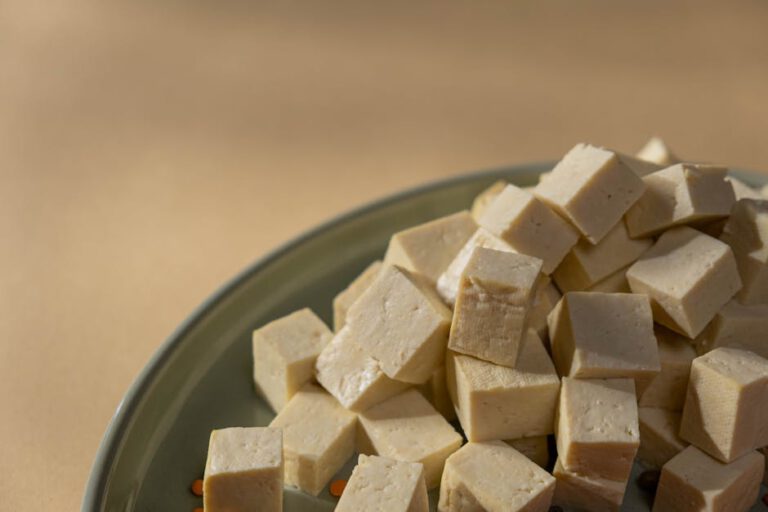 TofuGo: Transforming Tofu into Savory, Shelf-Stable Protein Snacks – 24 ...